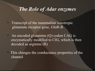 ADAR Enzyme's proposal | PPT