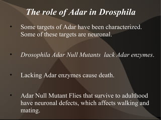 ADAR Enzyme's proposal | PPT