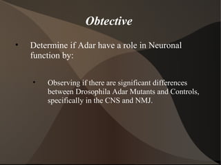 ADAR Enzyme's proposal | PPT