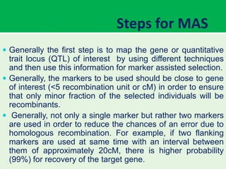MAS | PPTX