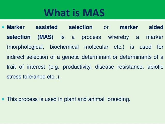 Marker assisted selection