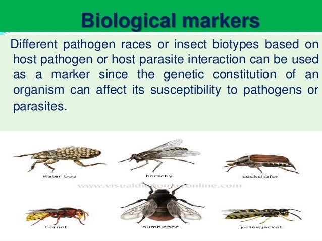 Marker assisted selection