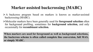 MARKER ASSISTED SELECTION | PPTX