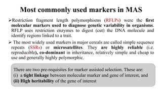 MARKER ASSISTED SELECTION | PPTX