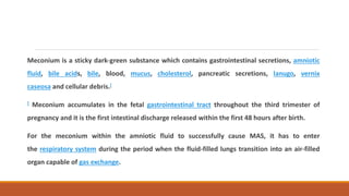 Meconium Aspiration Syndrome in Newborn | PPTX
