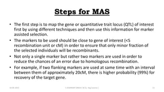 MAS in field crops | PPT
