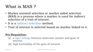 MAS in field crops | PPT