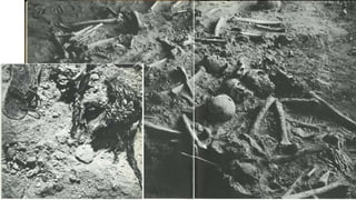 Reconstructing Masada | PPTX