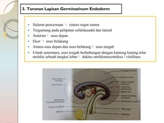 MASA embriogenik-dan-janin-fix embriologi.pptx