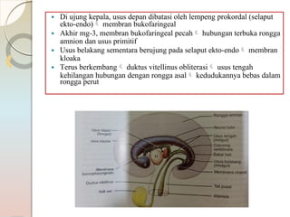 MASA embriogenik-dan-janin-fix embriologi.pptx