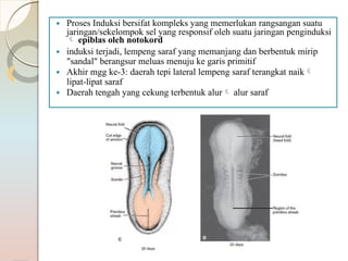 MASA embriogenik-dan-janin-fix embriologi.pptx