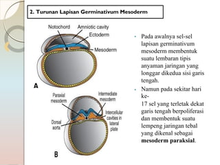 MASA embriogenik-dan-janin-fix embriologi.pptx