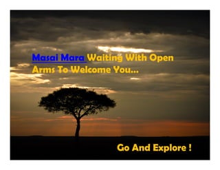 Masai mara | PPT