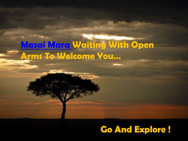 Masai mara | PPTX | Birds | Pets