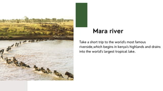 MASAI Mara .. | PPT