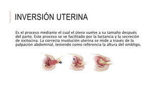 Masaje y compresión uterina. (1).pptx