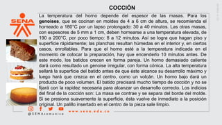 Bases de Cocina - Masa Liviana & Masa Madre | PPTX
