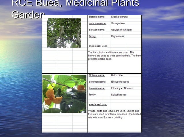 Promoting indigenous knowledge and cultural heritage through ESD ...