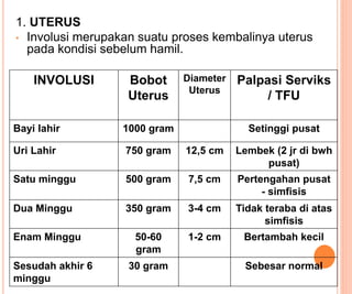 masa nifas 2.ppt