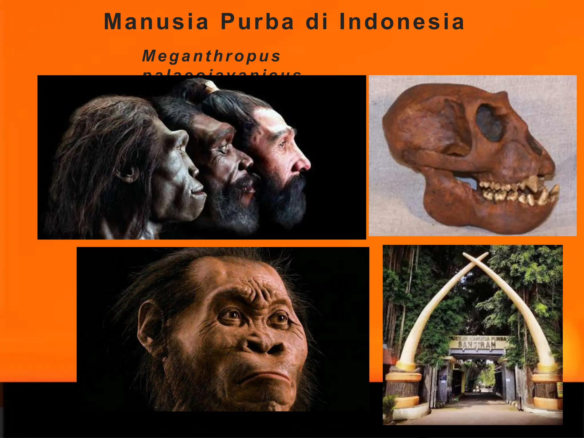 Masa Pra-Aksara dan manusia purba kelas 7 SMP .pptx