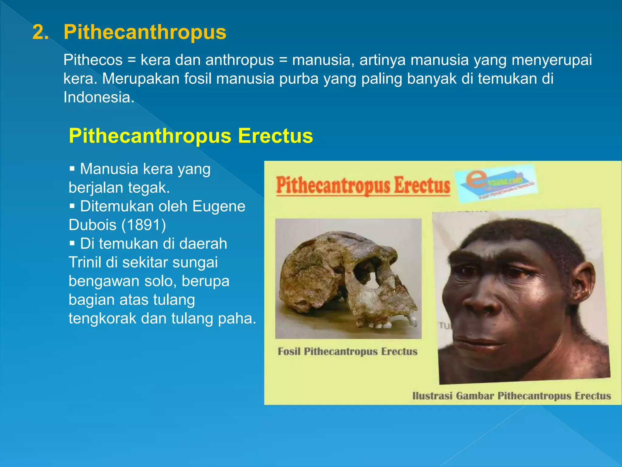Masa pra aksara di indonesia | PPTX