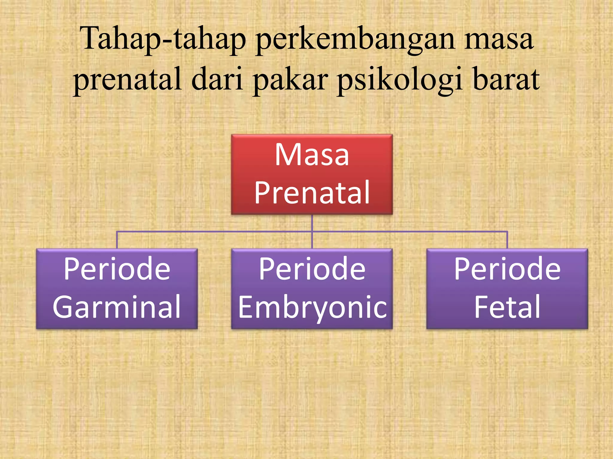 Masa prenatal ppt | PPTX