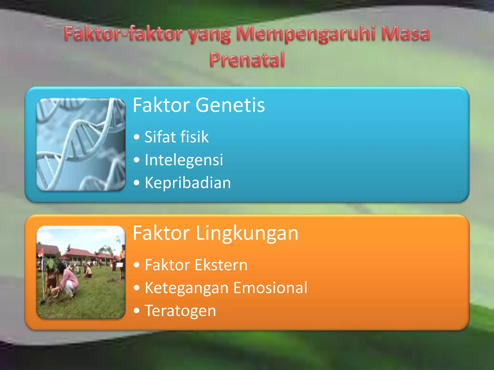 Masa prenatal ppt | PPTX