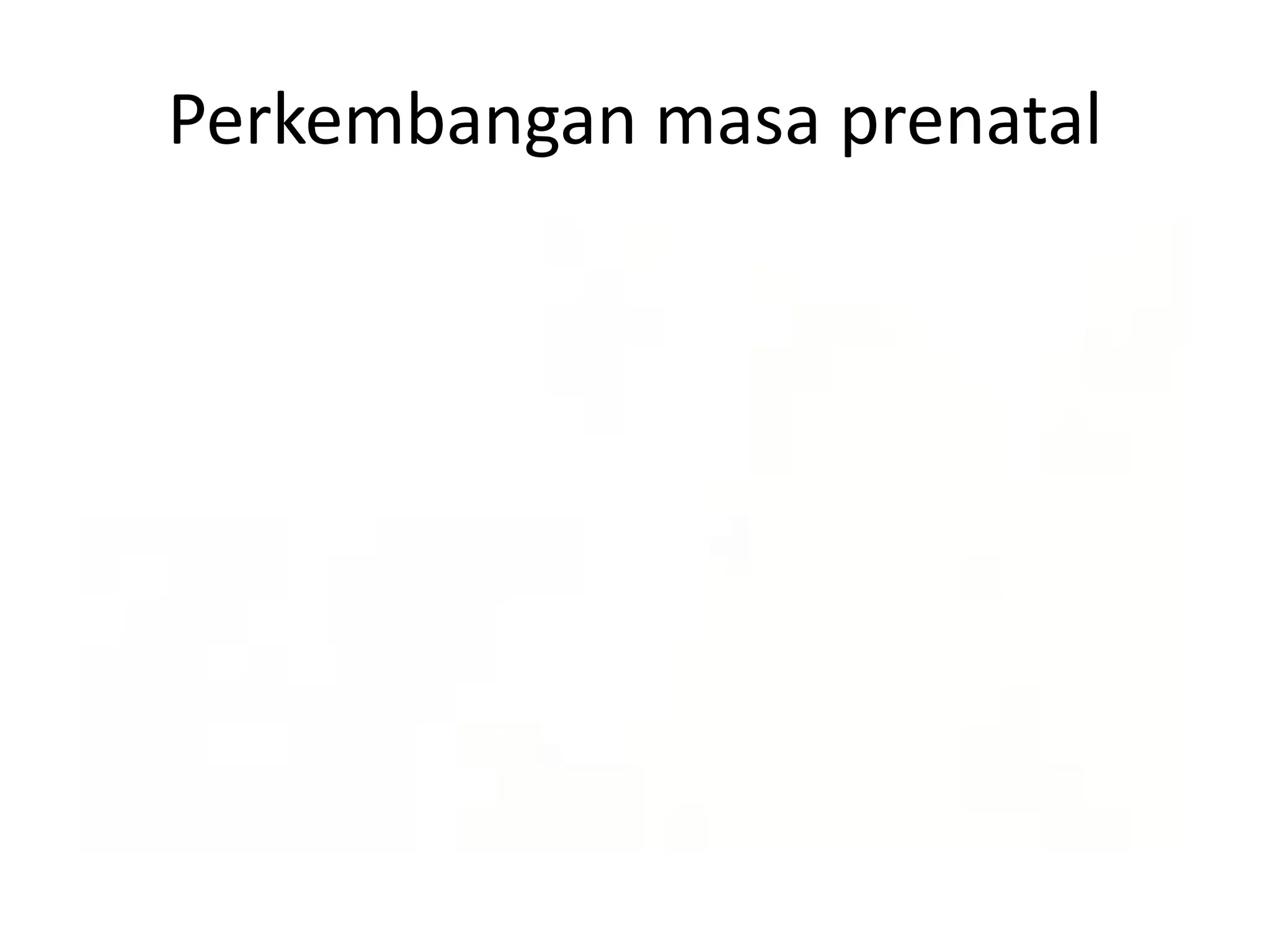 Masa Perkembangan ( prenatal) ppt | PPTX