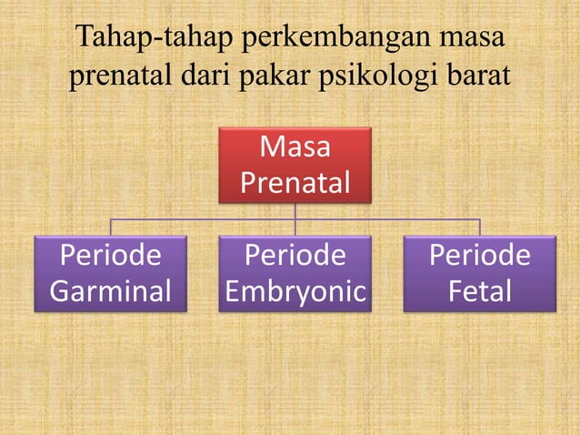 Masa Perkembangan ( prenatal) ppt | PPTX