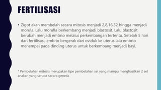 MASA PUBERTAS & MENSTRUASI PADA PEREMPUAN, FERTILISASI.pptx