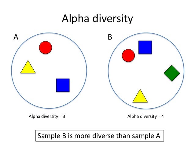 American Gut Project presentation at Masaryk University