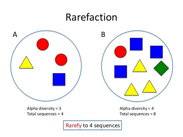 American Gut Project presentation at Masaryk University