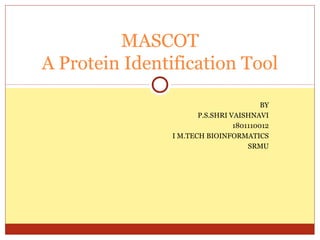Mascot | PPT