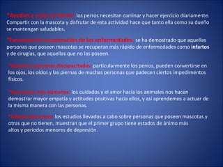 Mascotas, cuidados, beneficios. | PPT