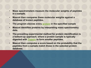 Mascot database | PPTX