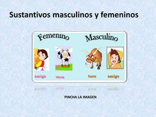 Masculino femenino y singular-plural | PPTX