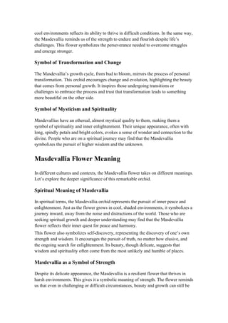 Masdevallia Symbolism and Meaning in Love, Death & Bible.docx