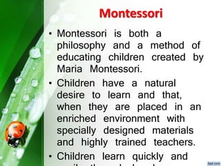 Principles and Theories in Early Childhood SpEd | PPTX | Daycare and ...