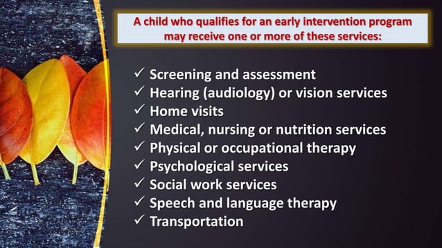 Early Intervention Programs for Children with Developmental Delay | PPTX