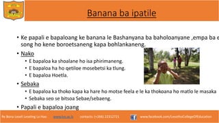LAPALI TSA SESOTHO (BASOTHO) | PPTX