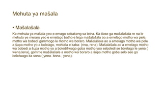 mashala third year presentation.pptx