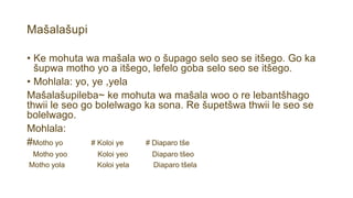 mashala third year presentation.pptx