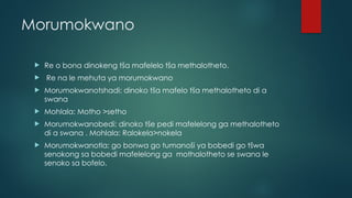 Mehuta ya direto tsa sesotho sa leboa ( Sepedi) | PPTX