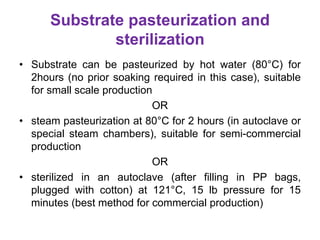 mashroom cultivation powerpoint prsentation | PPTX