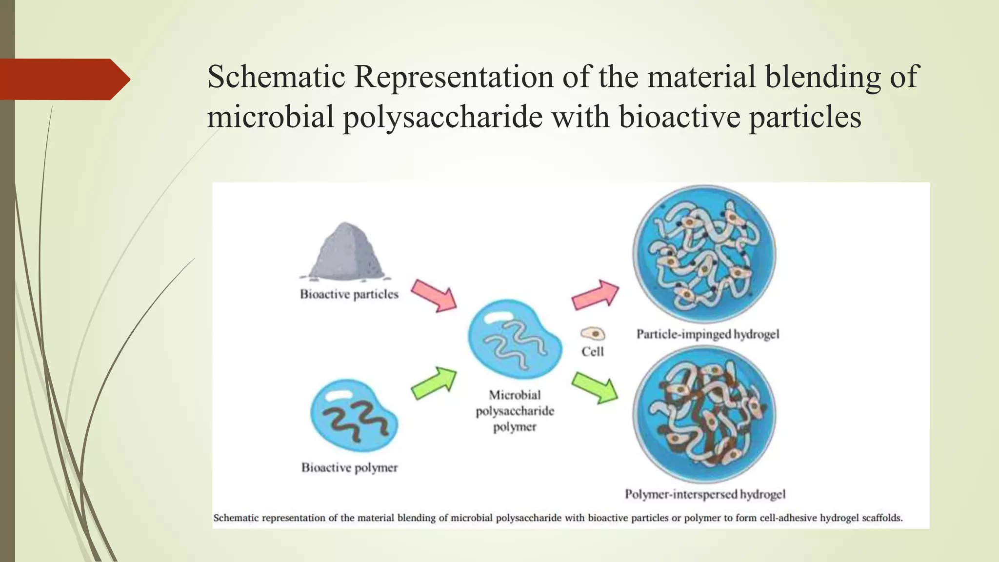 polysaccharide based hydrogels in tissue engineering and biomedical ...