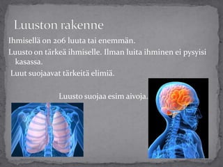 Luusto | PPTX