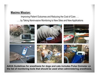 Masimo pulse ox training module 1 [compatibility mode] | PDF