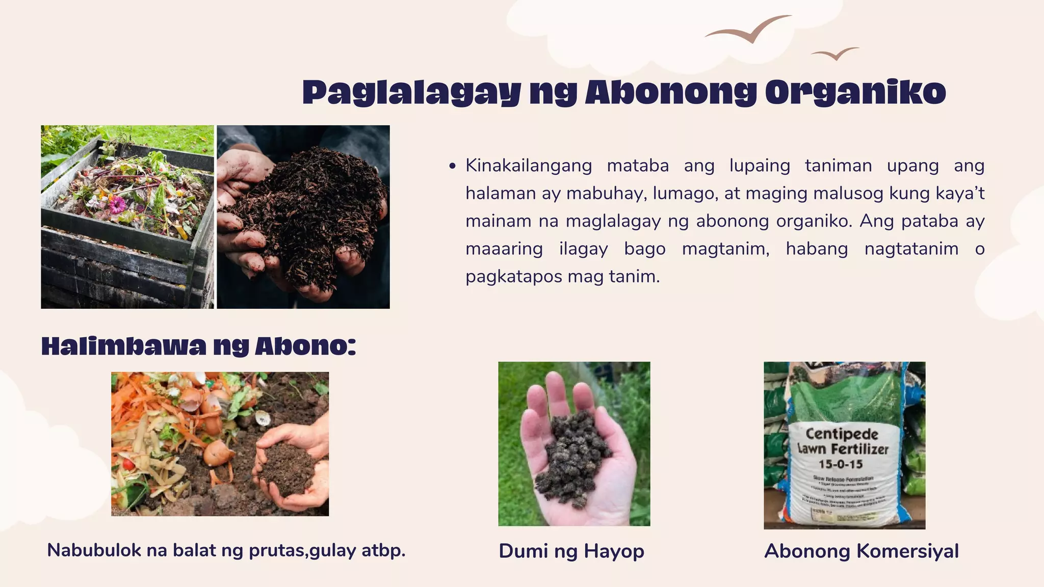 Masistemang pangangalaga ng Tanim na mga Gulay.pdf Masistemang pangangalaga ng Tanim na mga Gulay.pdf
