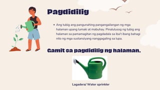 Masistemang pangangalaga ng Tanim na mga Gulay.pdf