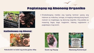 Masistemang pangangalaga ng Tanim na mga Gulay.pdf
